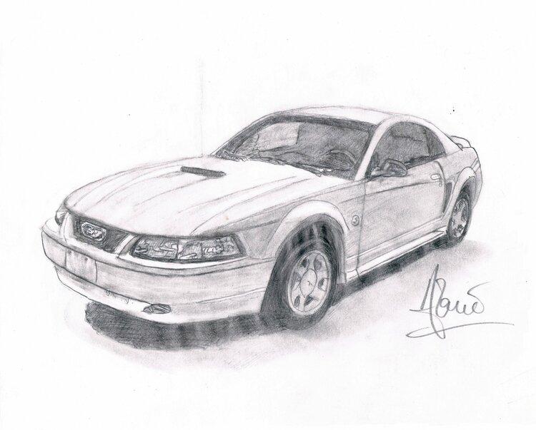 Ford Mustang Drawings