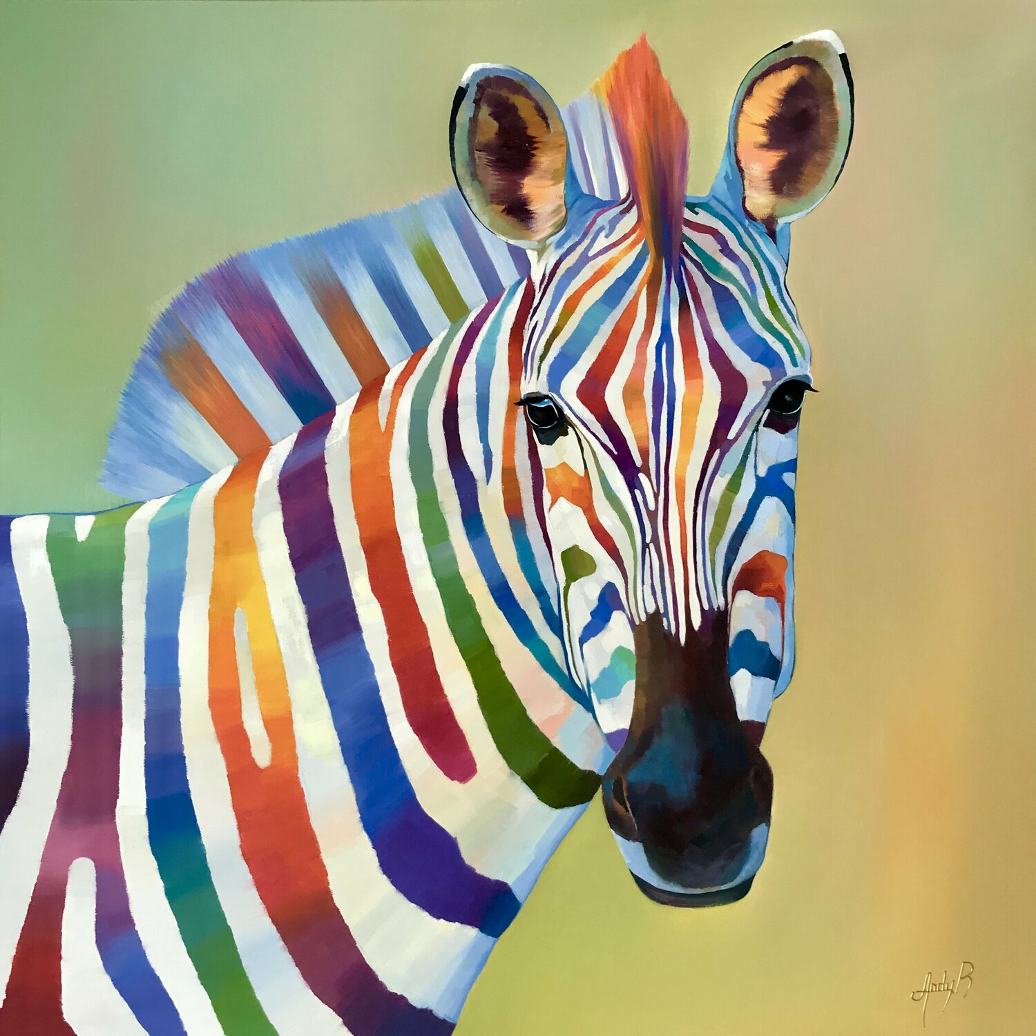 Pictures Of Colorful Zebras