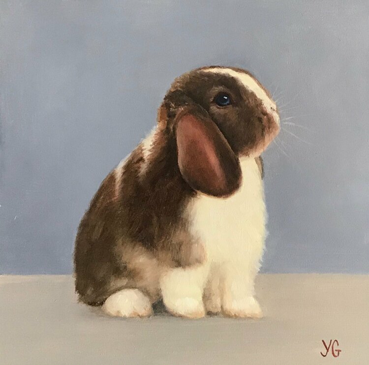 Rabbit Oil Paintings