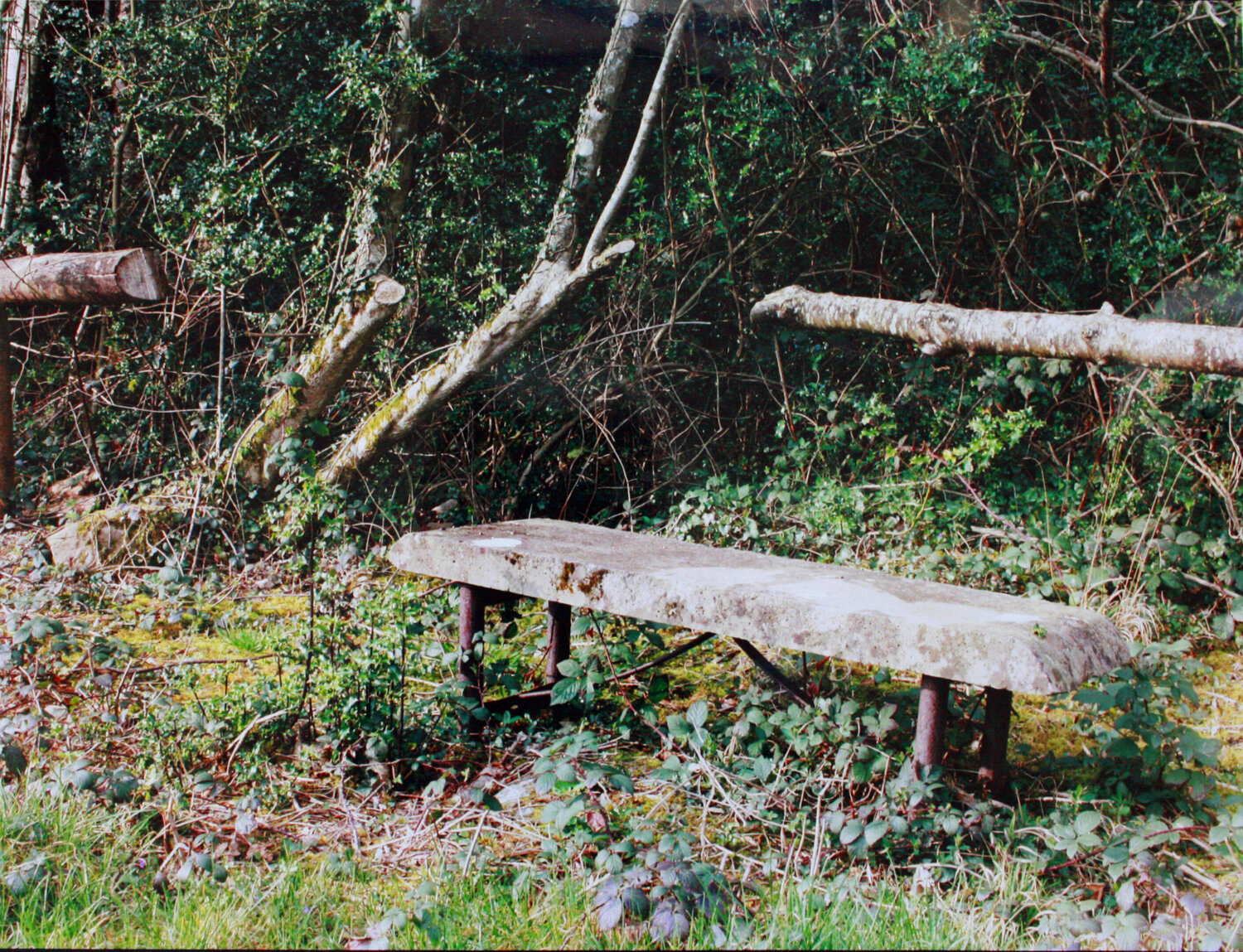 Joeland No 6 de Stephanie Guse (2000): Fotografía Análogo en Papel ...