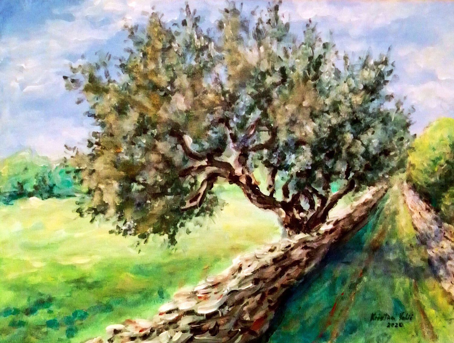Olive tree by Kristina Valic (2022) : Print Giclée print on Paper ...