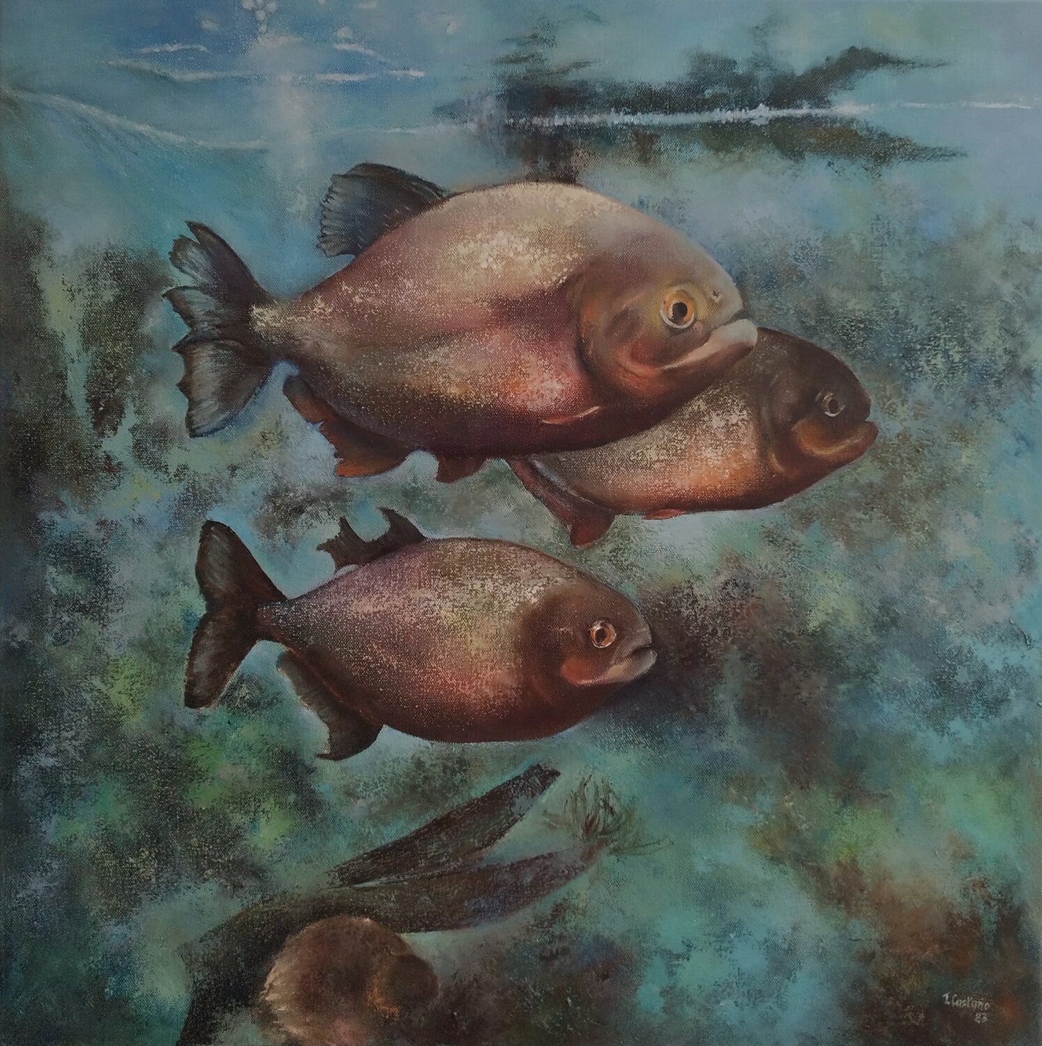 Pirañas by Tomás Castaño (2023) : Painting Oil on Canvas - Singulart