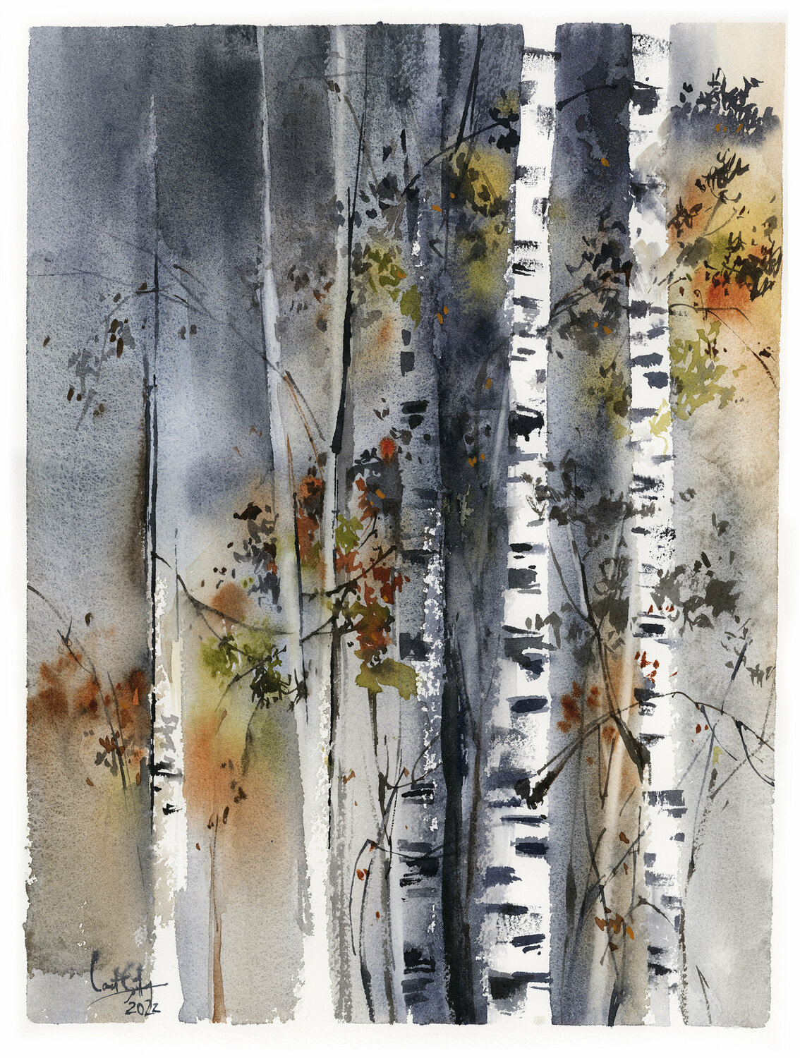 Birch Tree Art Border For Publisher
