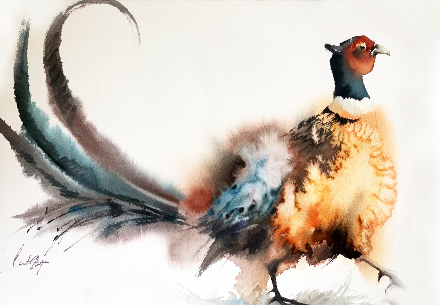 Pheasant Watercolor