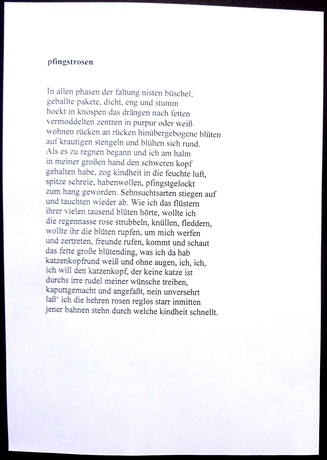 Gouache zum Gedicht von Monika Rinck "Pfingstrosen" #11 by Volker Mayr ...