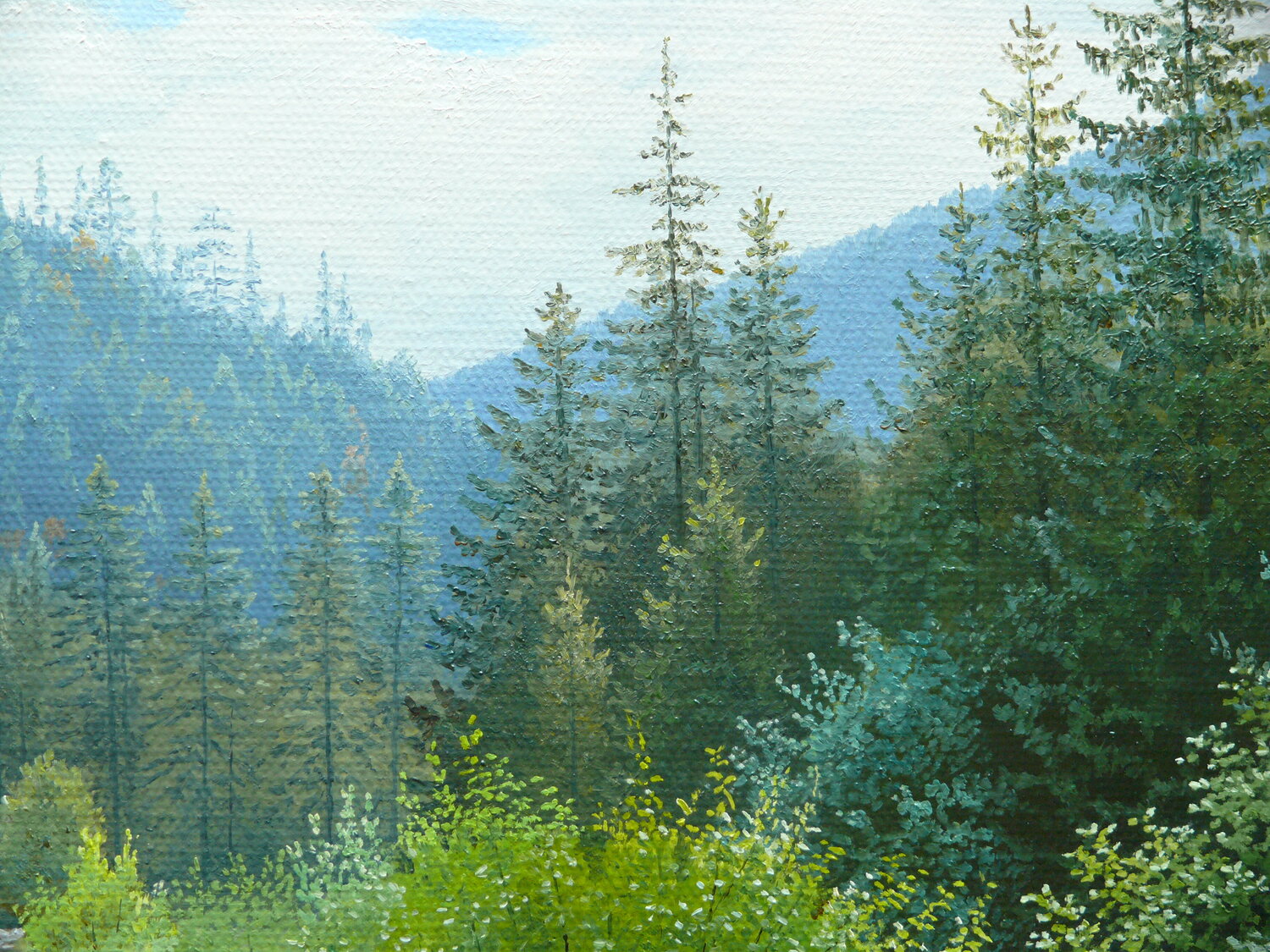 Shallow water in the Veľký Sokol valley by Emil Mlynárčik (2023 ...