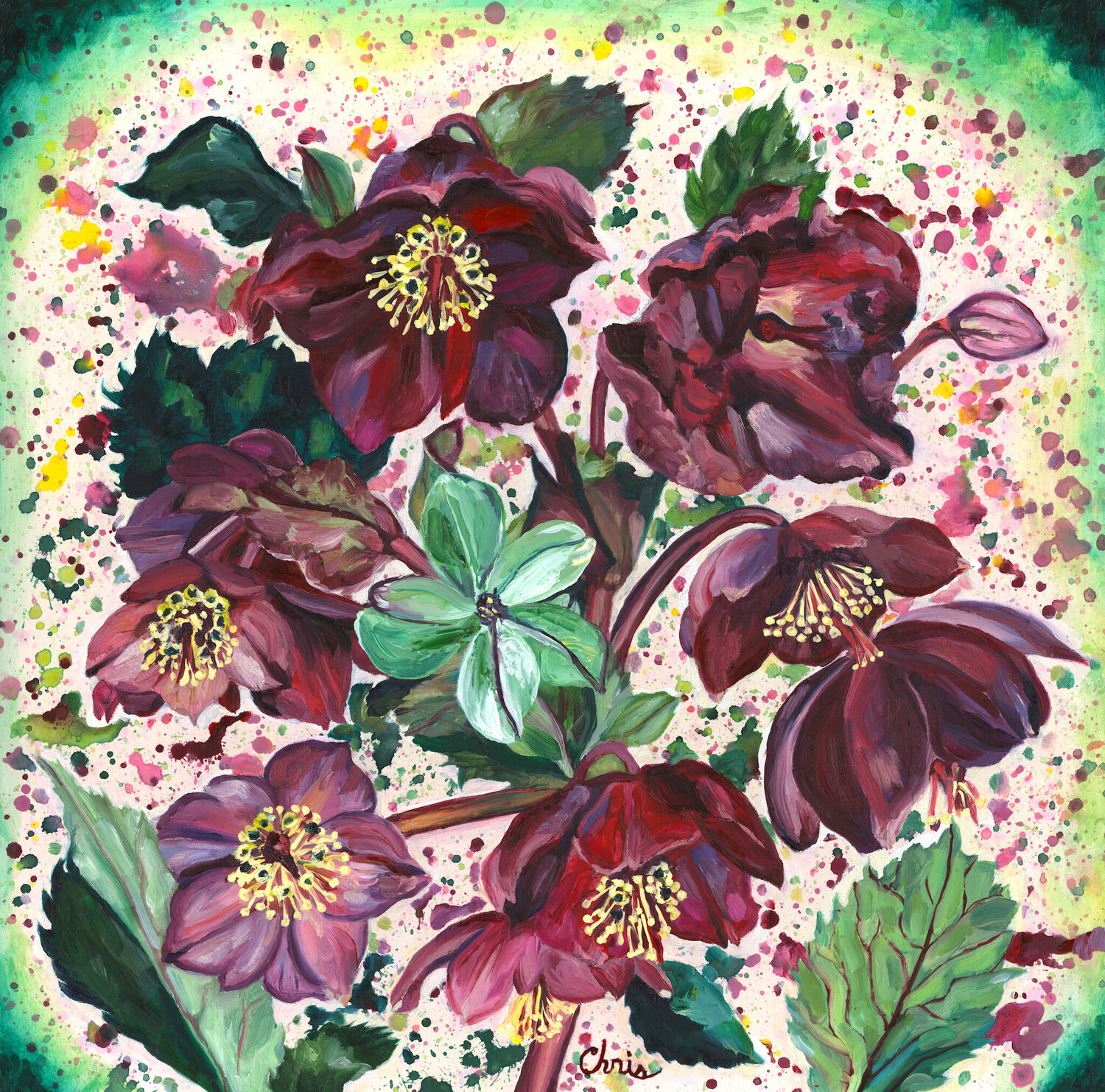 Lenten Rose Cluster by Christina M Plichta (2023) : Painting Oil on ...