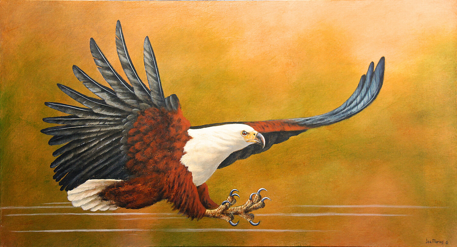 Action Perfection - Special Price (-30% for a short while only) by Joe ...