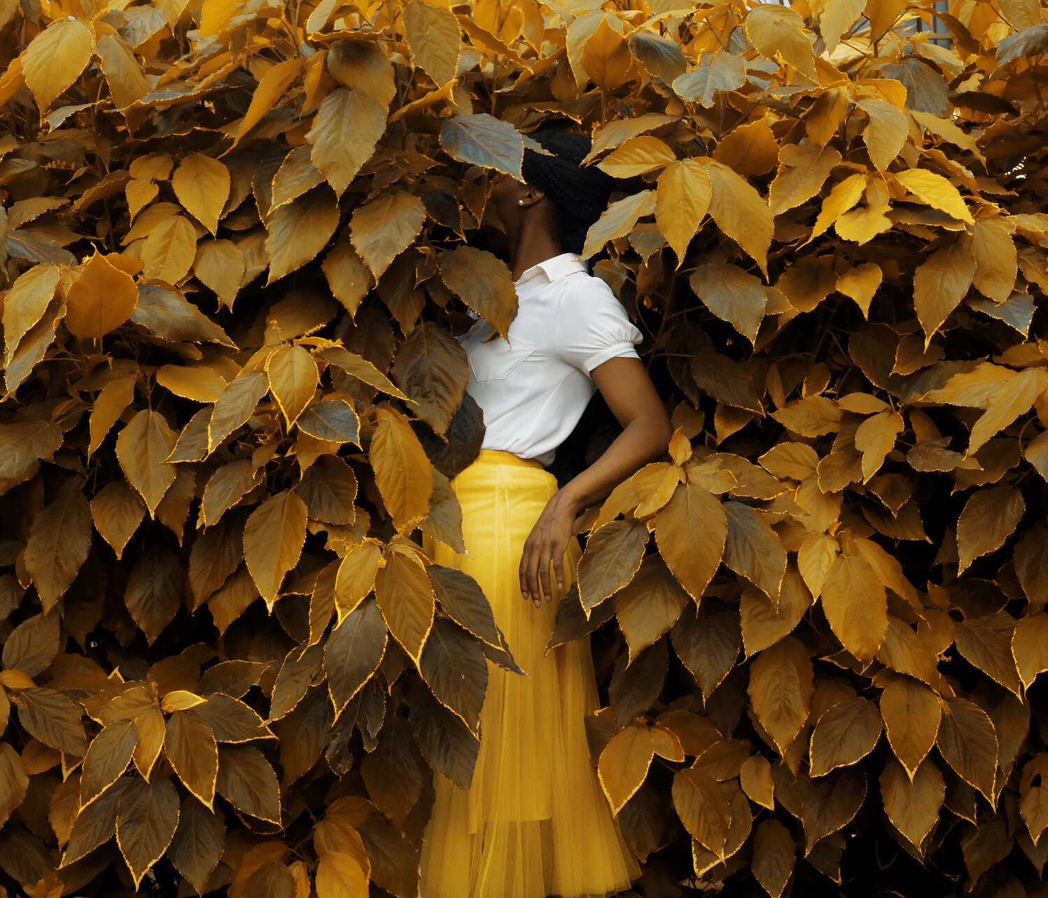 Radiate light by Fares Micue (2023) : Photography Digital on Paper ...