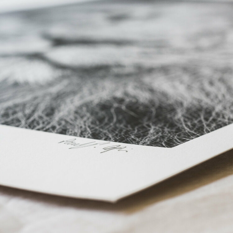 Fine Art Photography Auction
