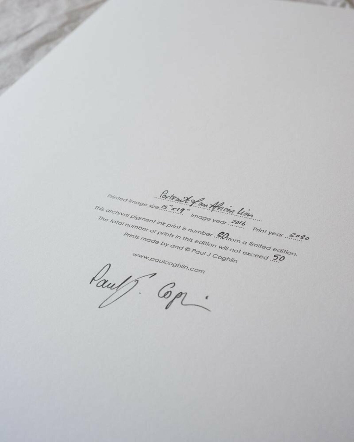 Portrait of an African Lion by Paul Coghlin (2016) : Photography ...