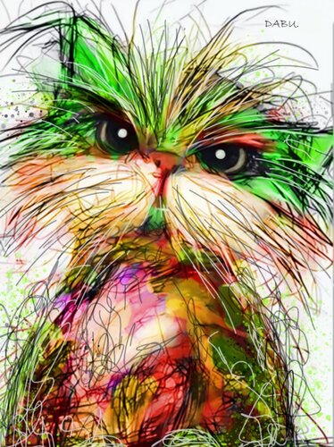 CHAT GRAND YEUX by Daniel Burgraeve (2025) : Drawing Pastel, Pencil on ...