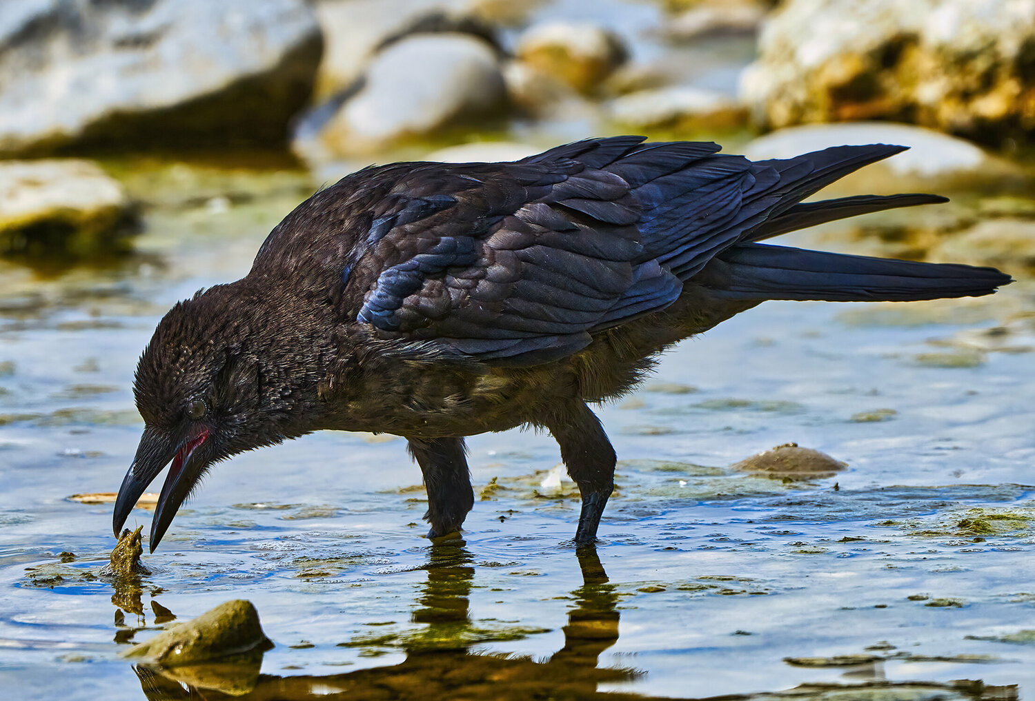 ANALOGUE EVERYDAY 1 von Andrej Barov (2021): Fotografie Analog auf ...