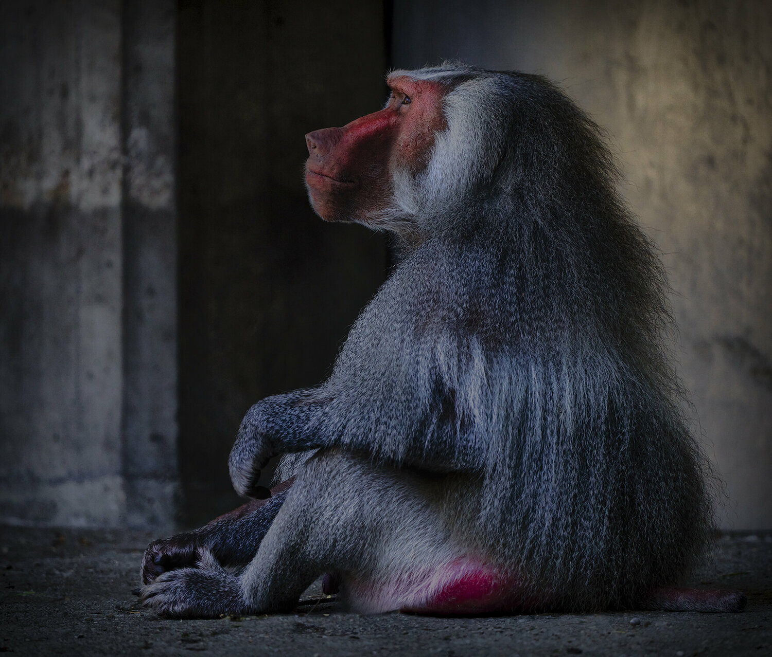 tremendous pleasure 2 by Andrej Barov (2021) : Photography Hybrid on ...