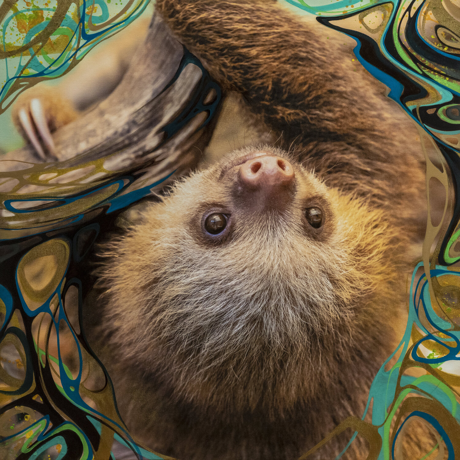 Oso Perezoso 1 by Monica Lizano (2022) : Other Media Acrylic, Lacquer ...