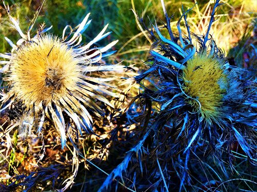 Sleeping under the fire by Kaltrina Hoti (2022) : Photography Digital ...