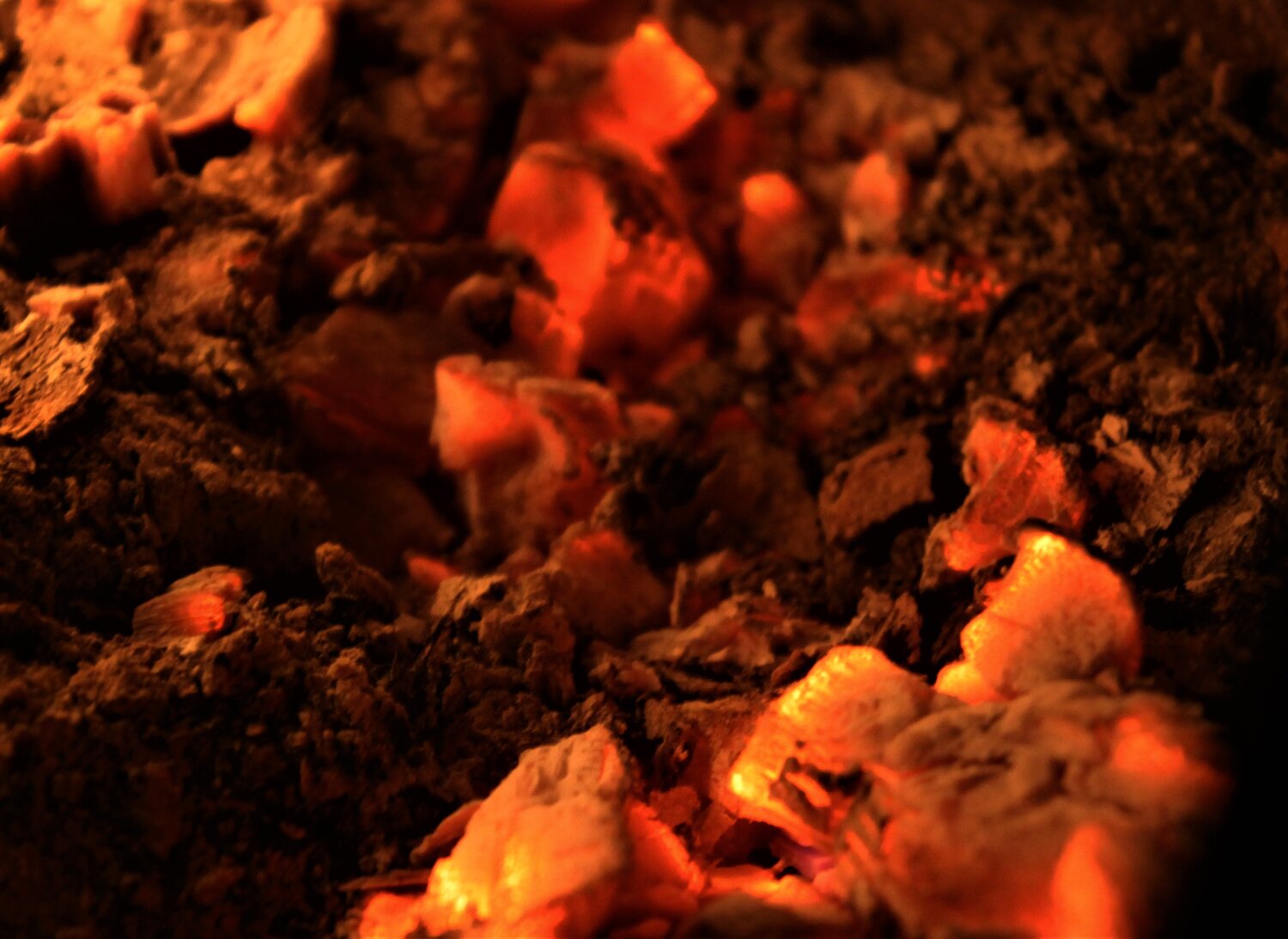 Prush by Kaltrina Hoti (2022) : Photography Digital on Canvas - Singulart