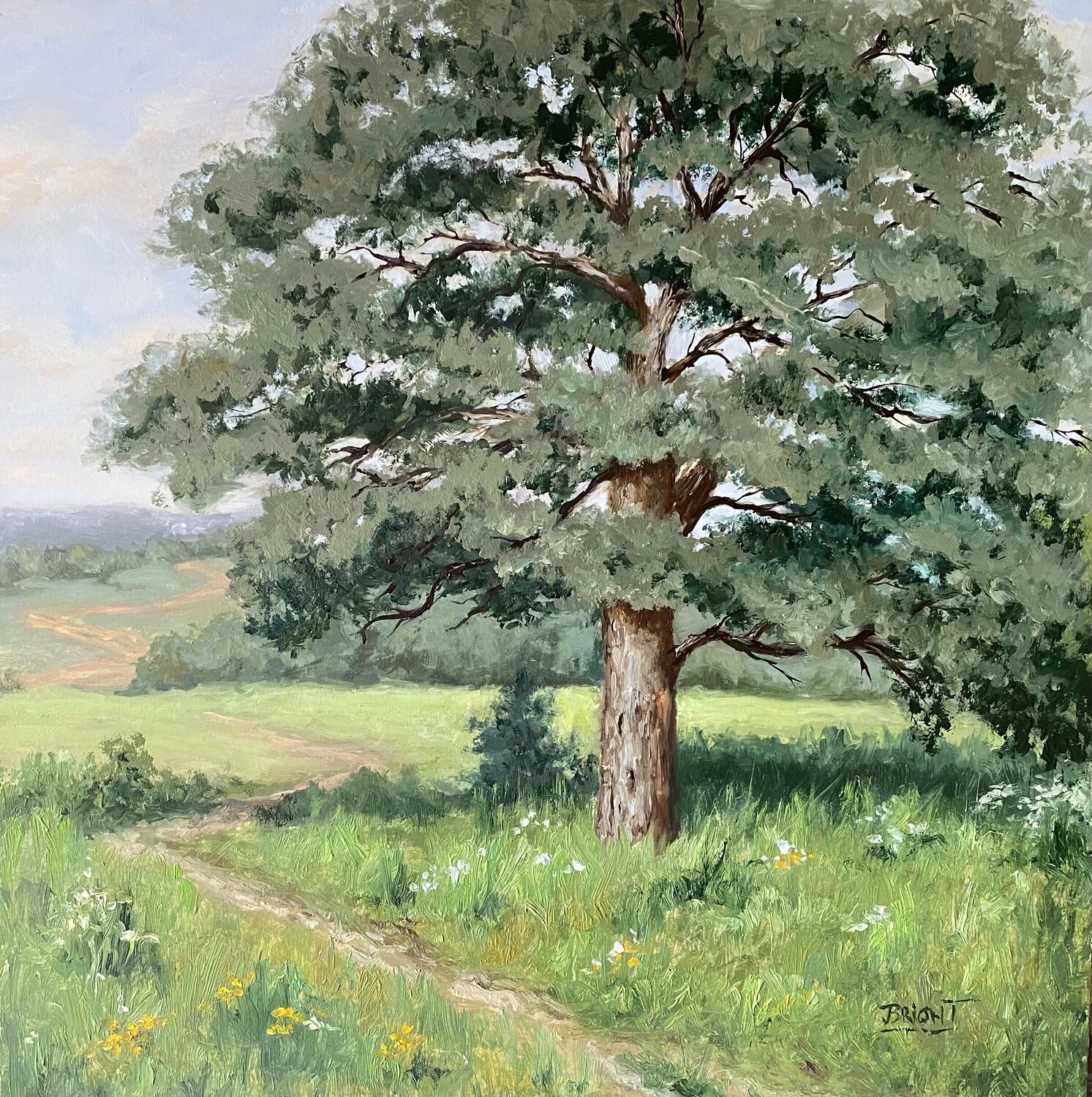 Portrait Of A Tree by Julia Bright (N.D) : Painting Oil on Wood - Singulart