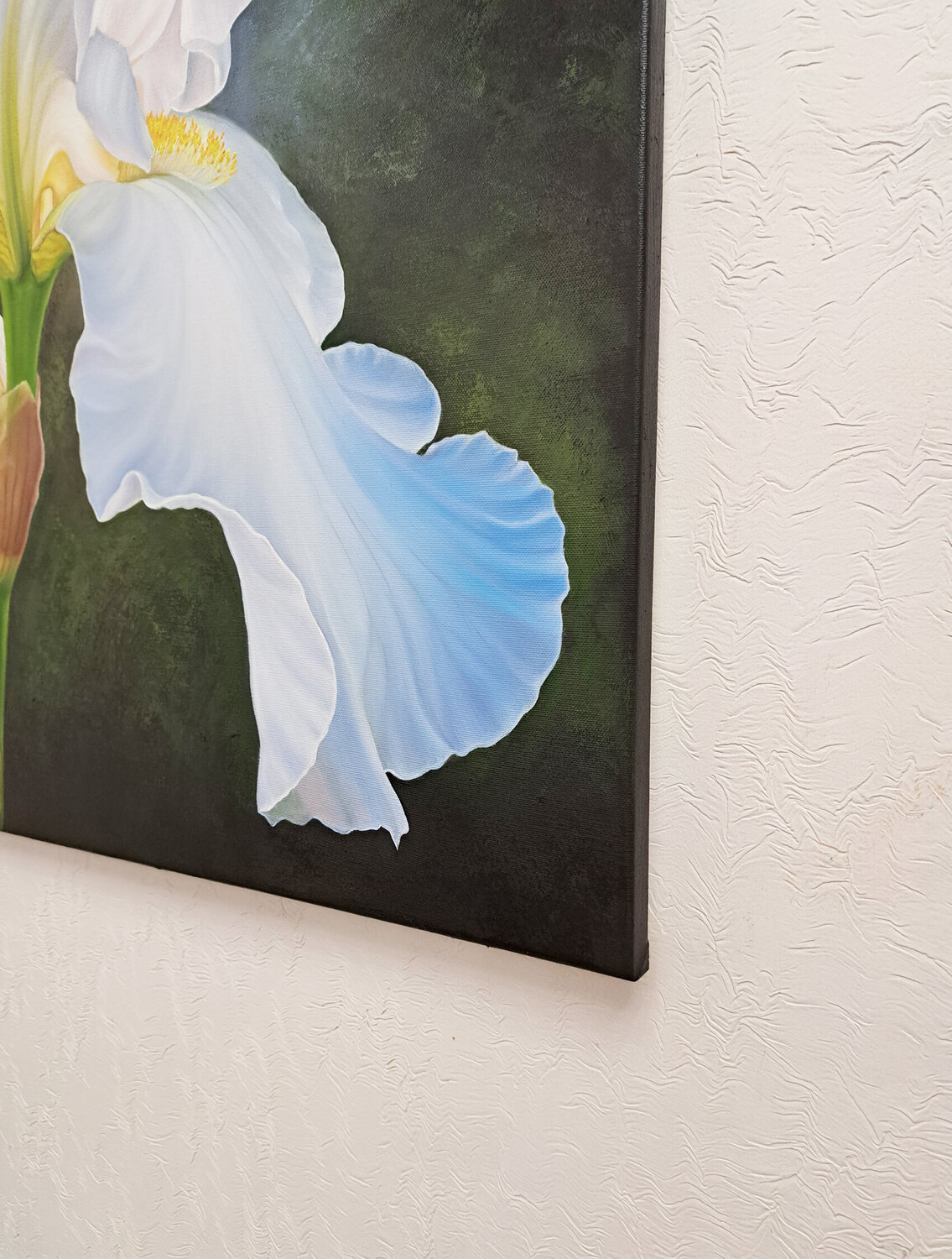 Portrait of Iris. Bella by Anna Steshenko (2024) : Painting Oil on ...