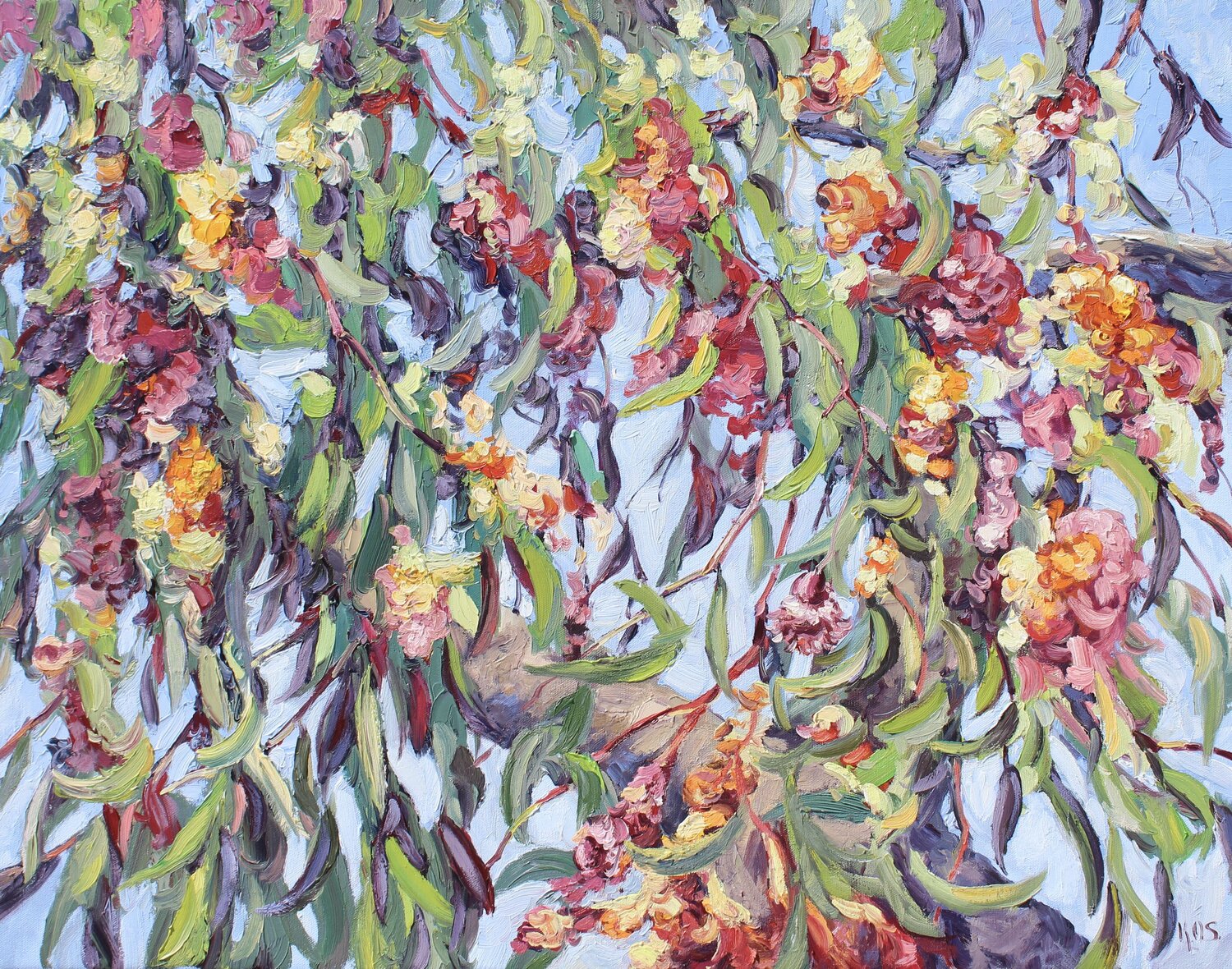 Gum Blossoms by Kristen Olson Stone (2023) : Painting Oil on Canvas ...