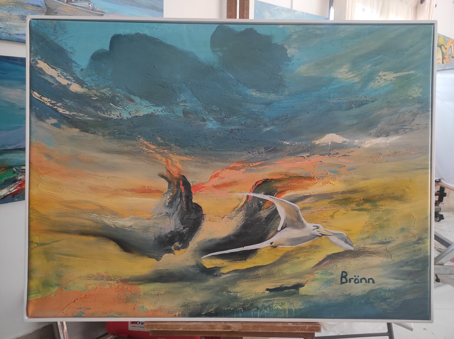 White tail tropic bird in a dark sky by Gerdus Bronn (2022) : Painting ...