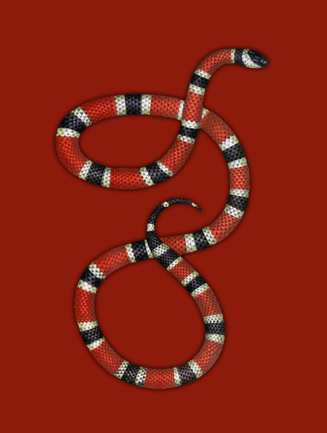 Black And Red Snake Wallpaper