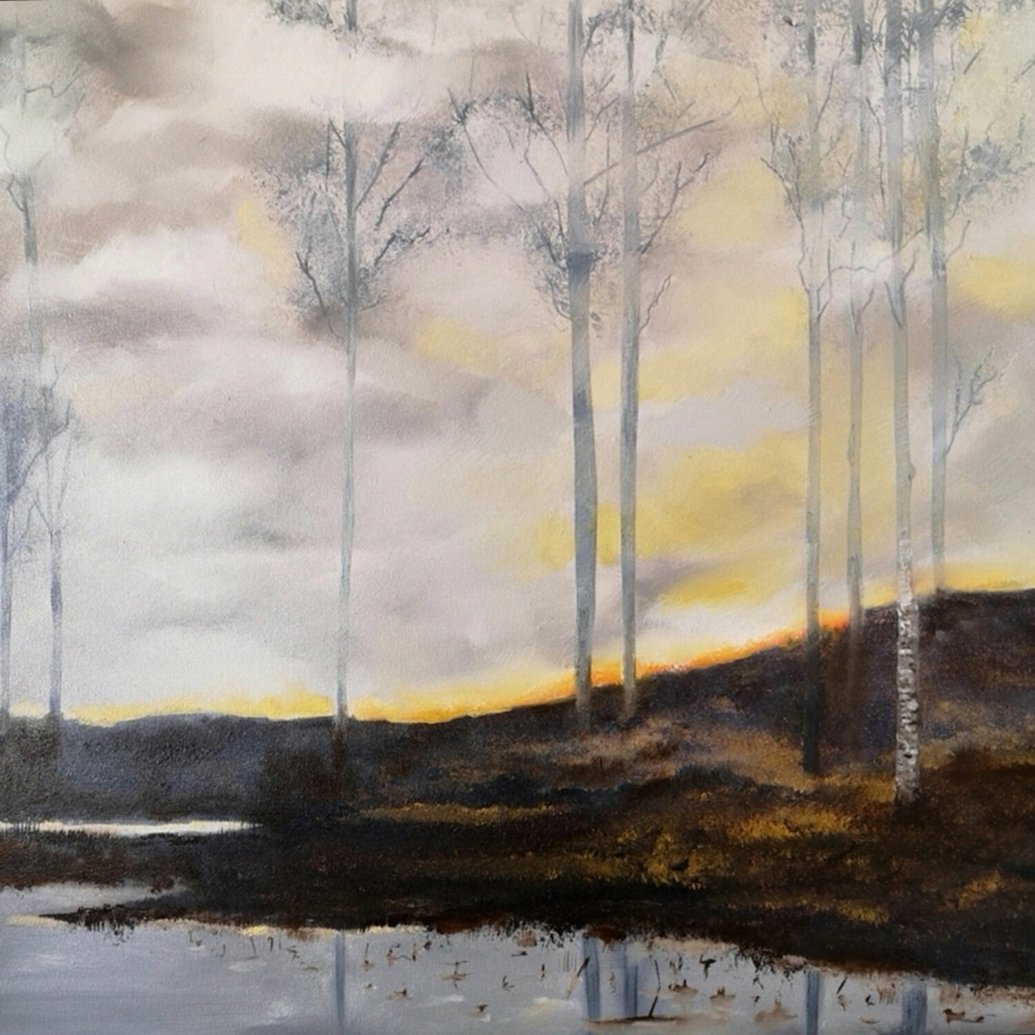 Deforestation Paintings