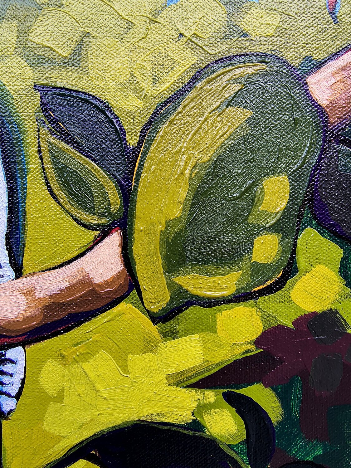 Trogón acollarado by Didier Franco (2026) : Painting Acrylic on Canvas ...