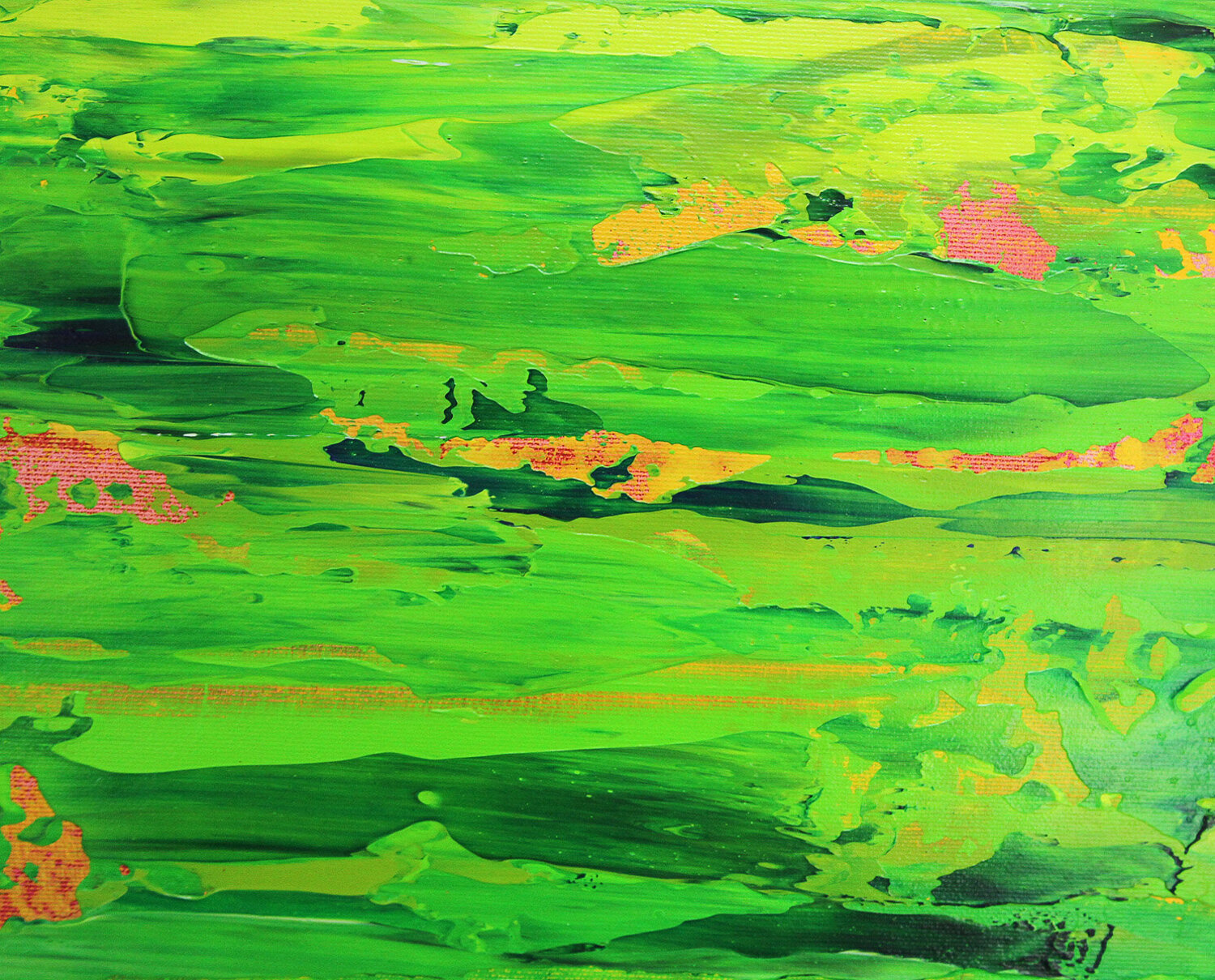 Kakadu NP I von Andreas Garbe (2023): Malerei Acryl auf Leinwand ...