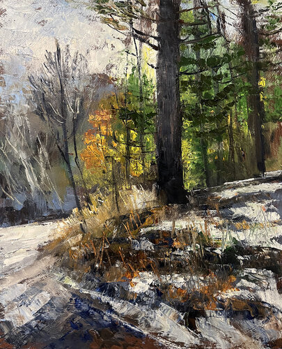 Arboretum, Winter Light by David Sheldon (2025) : Painting Oil on Wood ...