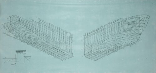 Expansion Shell by Patricia Paolozzi Cain (2009) : Drawing Pen on Paper ...