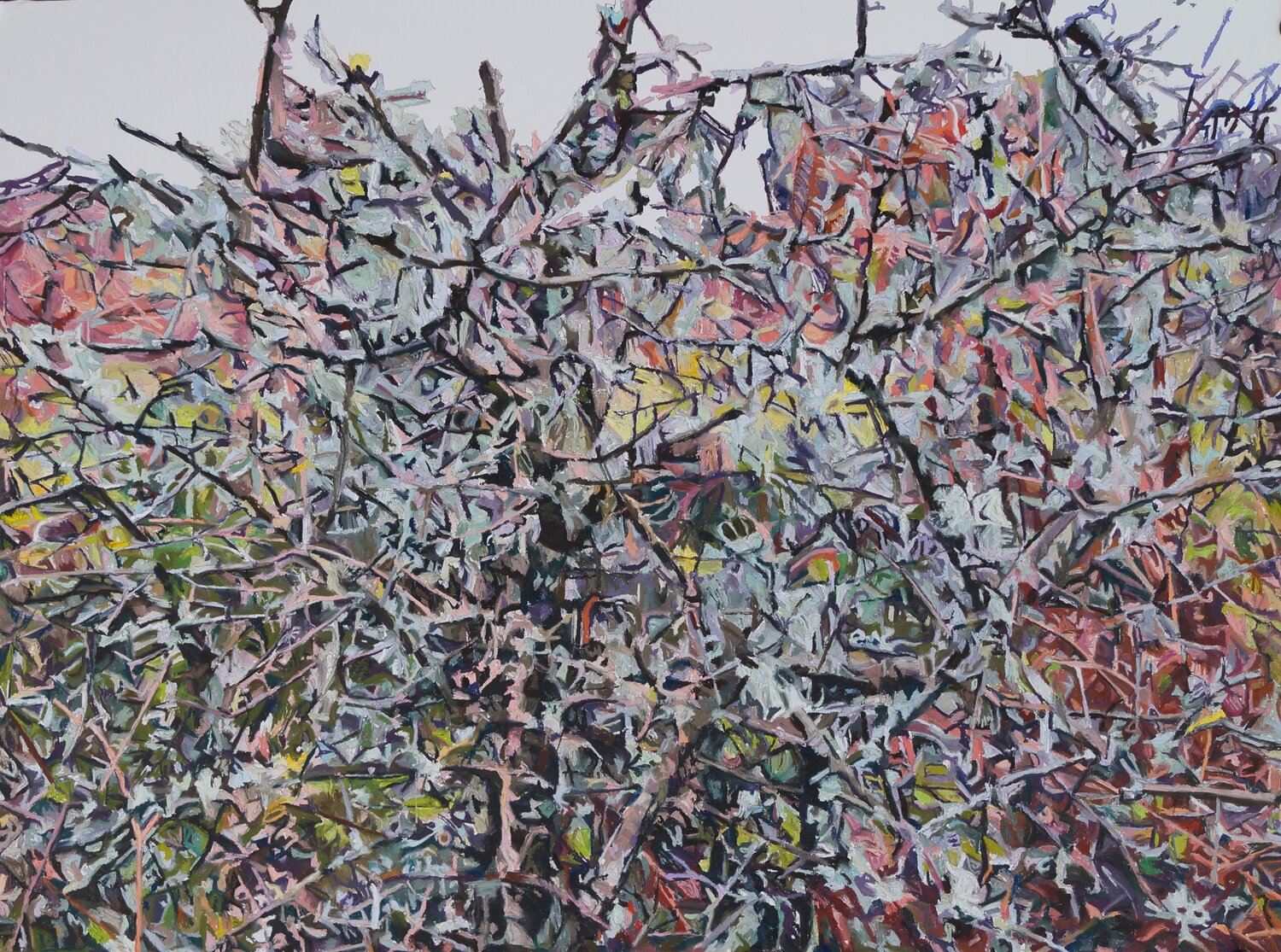 Complex Drawing by Patricia Paolozzi Cain (2018) : Painting Pastel on ...