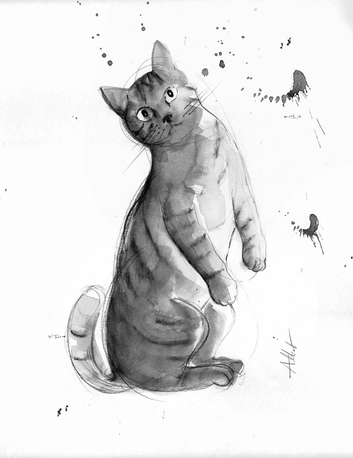 Chat dynamique 0106 Philippe Alliet