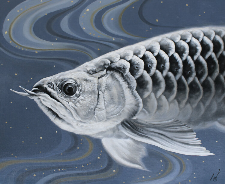 Arowana Fish Drawing