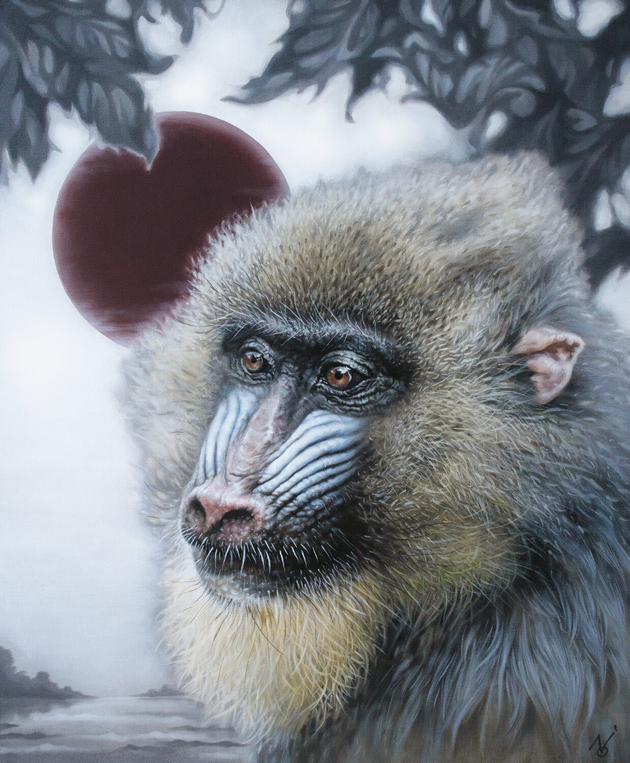 Mandrill Monkey