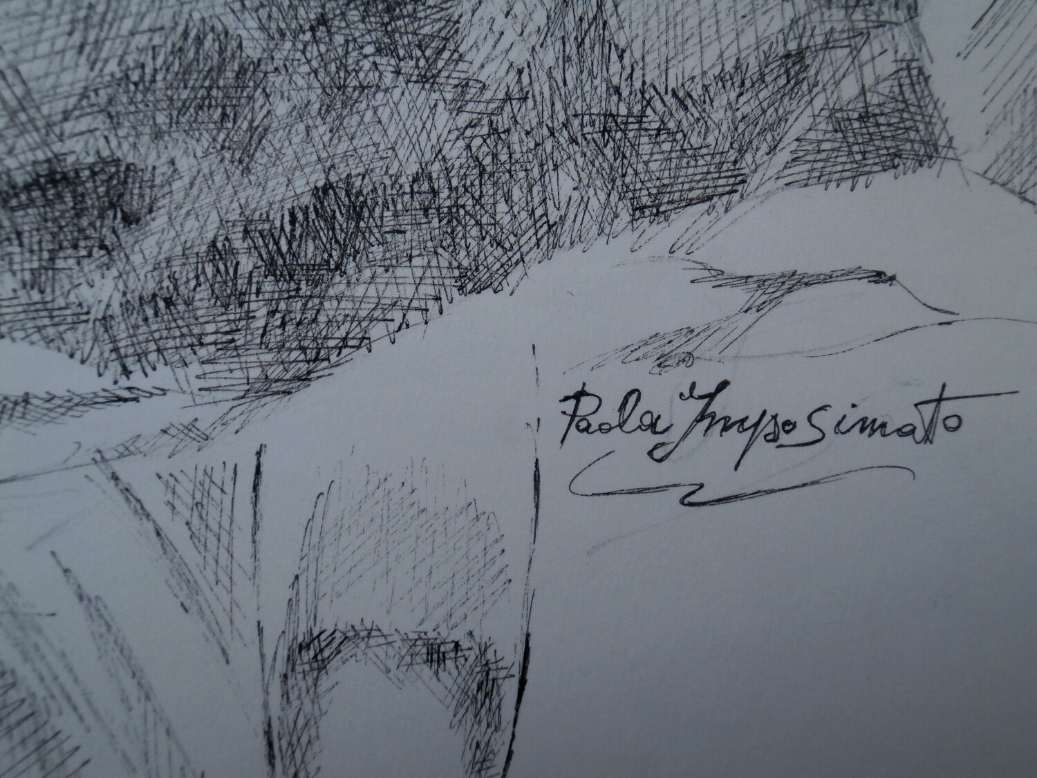 IL GIGLIO E LA BALZANA by Paola Imposimato (2012) : Drawing India Ink ...