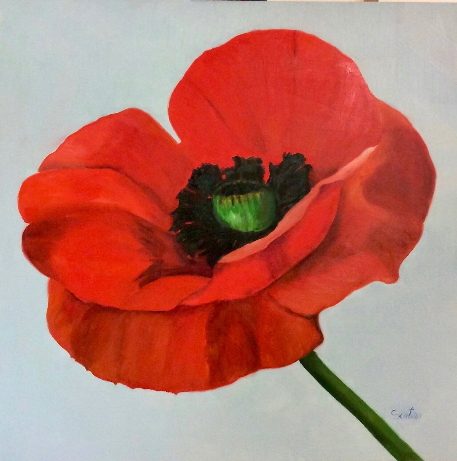Big Red Poppy by Carmelo Sortino (2023) : Painting Oil on Canvas ...