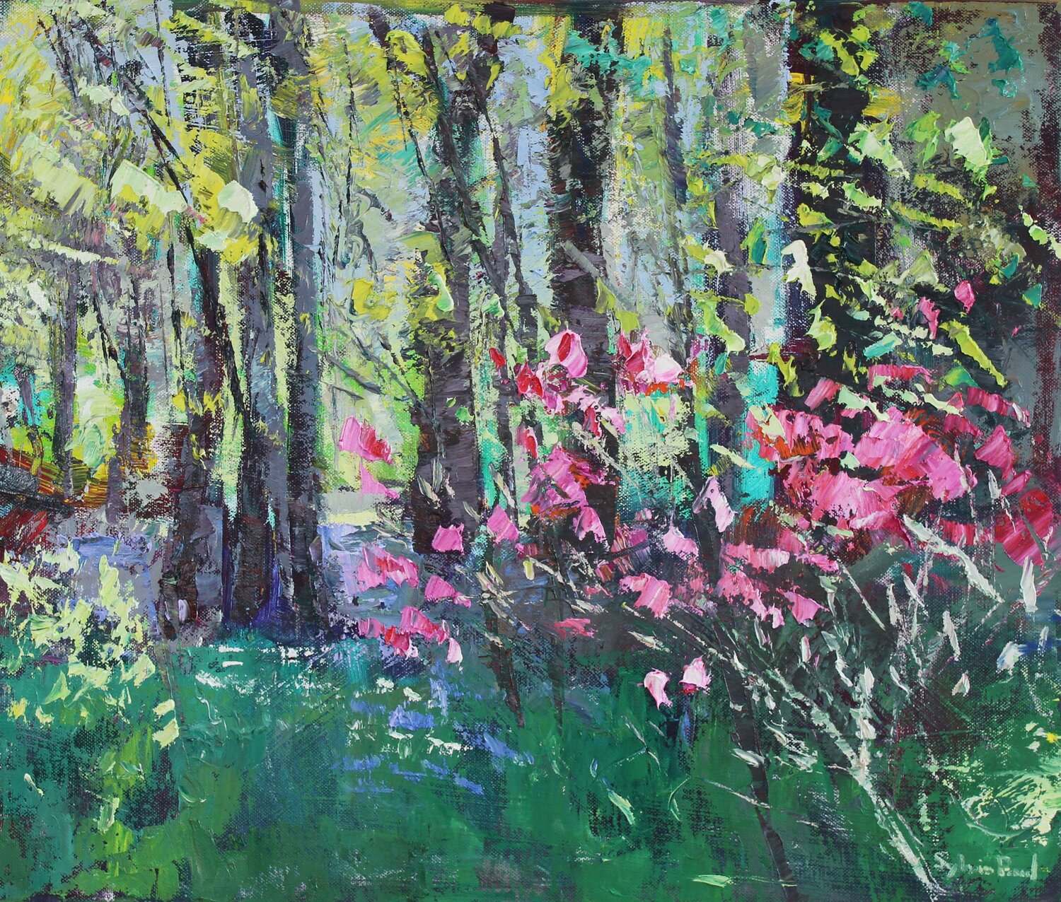 Woods in Spring by Sylvia Paul (2024) : Painting Oil on Canvas - Singulart