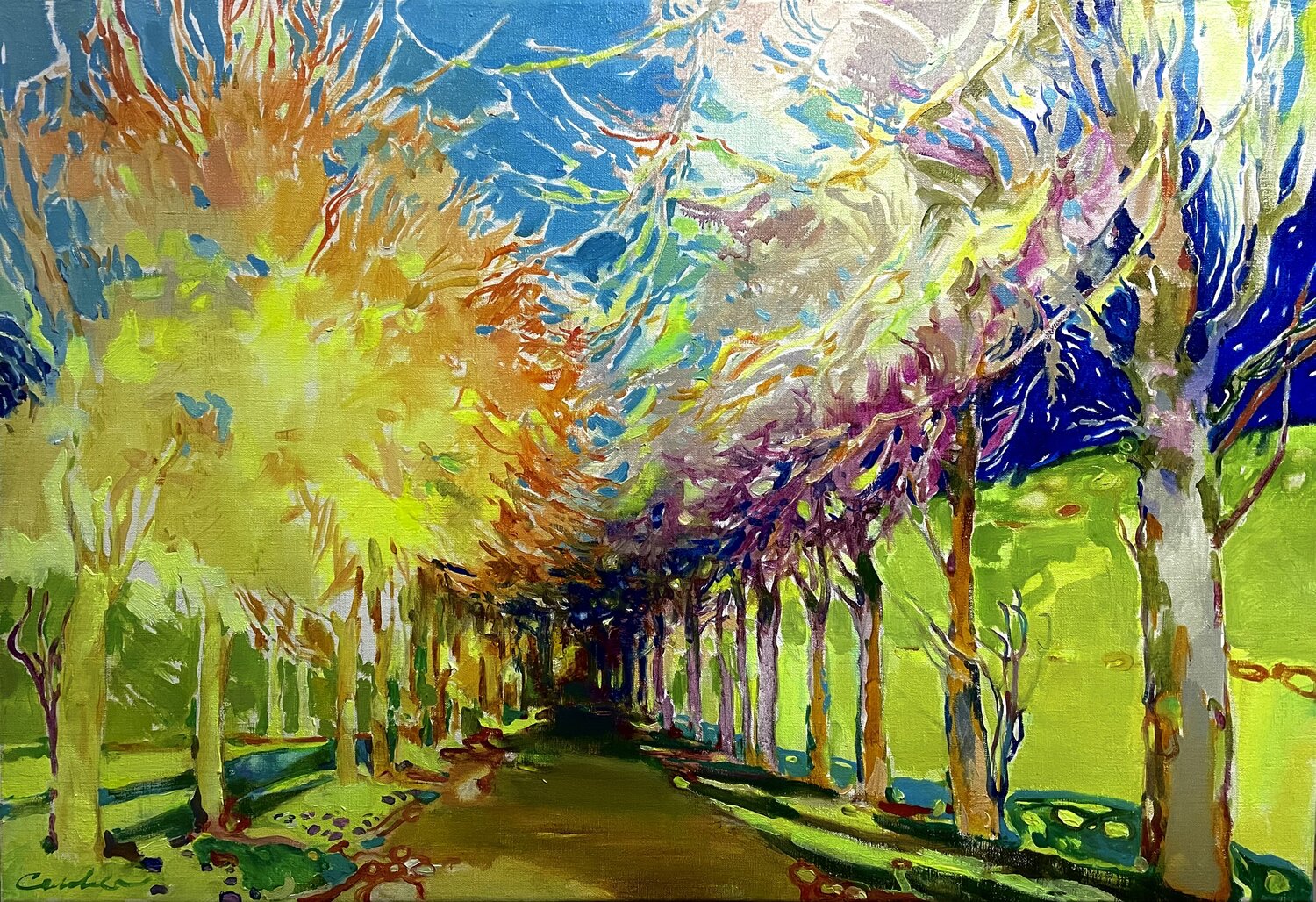 SPRING LABYRINTH-LABYRINTH OF COLOR- Spring - SPRING DAY- New life ...