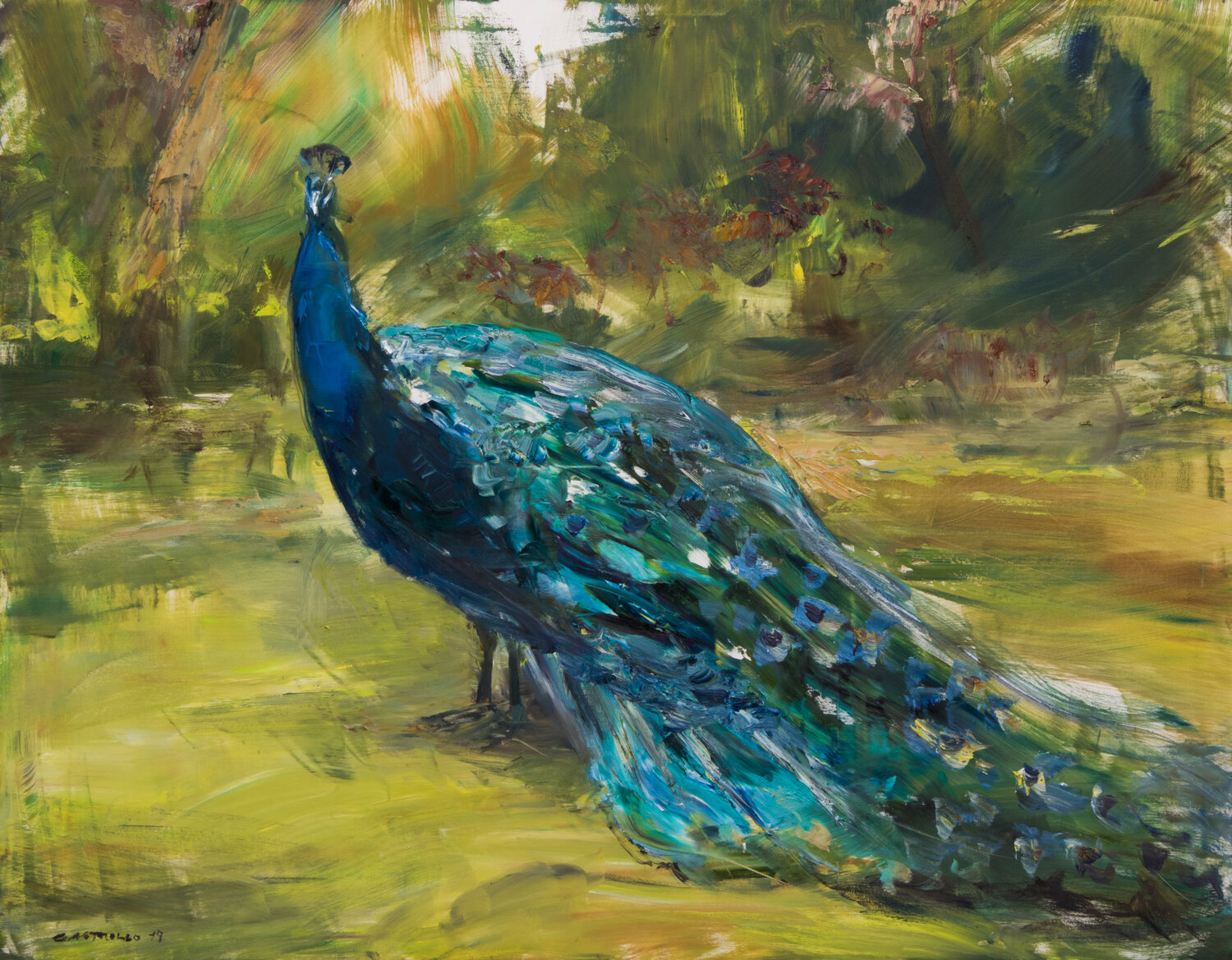 Paboreal Translate English