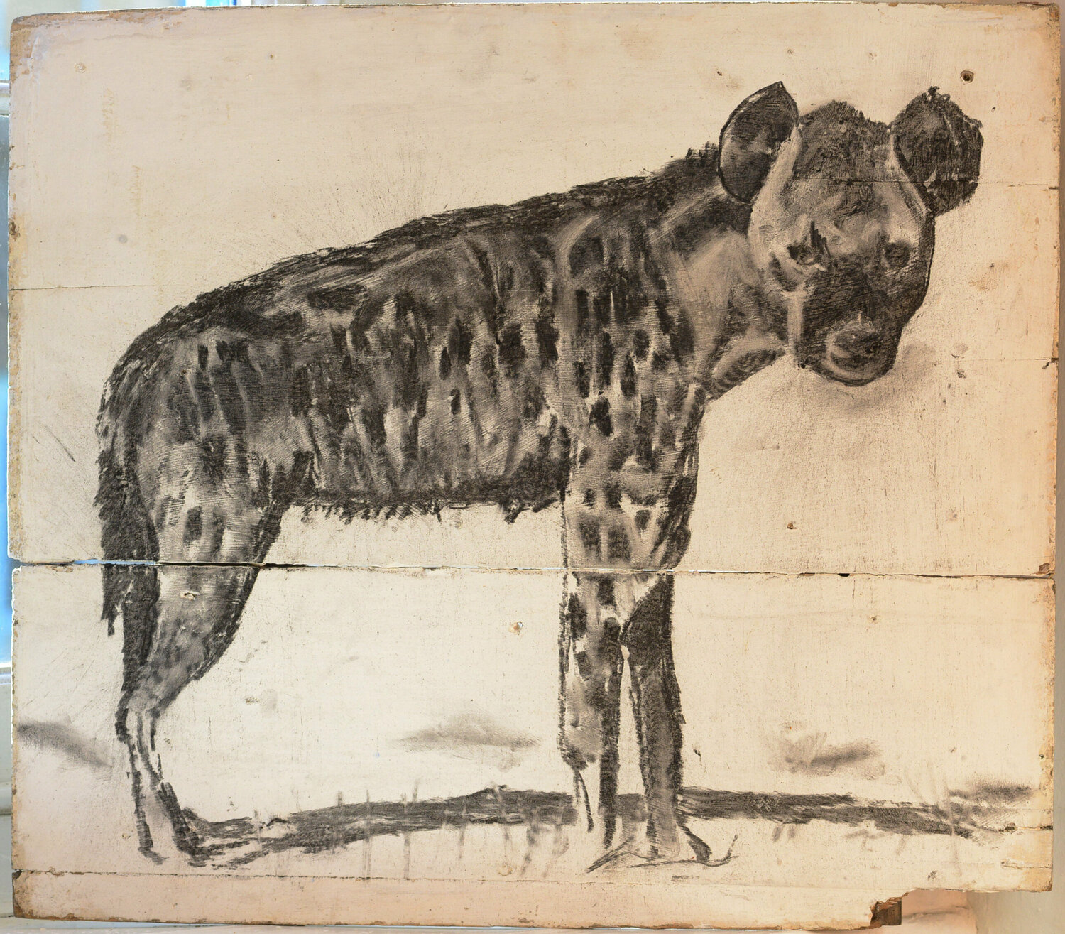 Spotted Hyena Drawing
