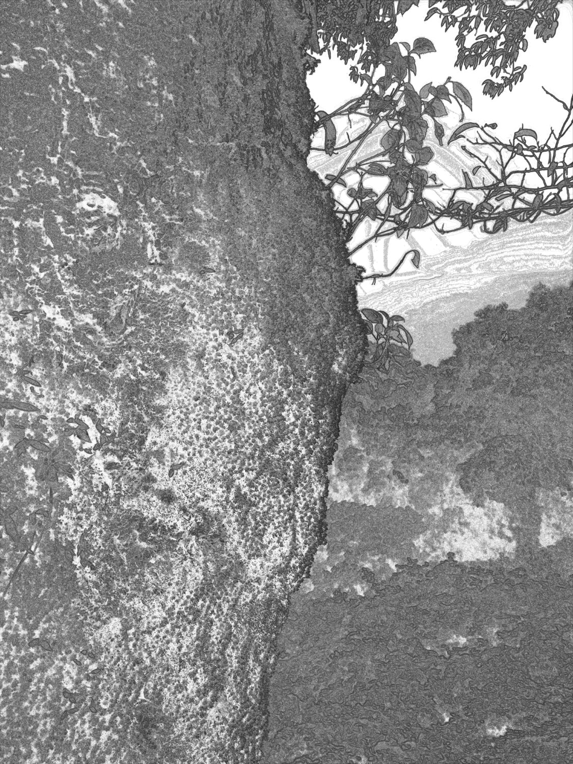 Life in nature 06 by Santhosh C H (2023) : Digital Digital on Canvas ...