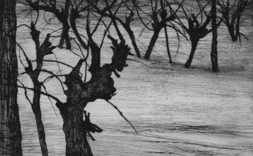 Bosco by Graziella Da Gioz (2017) : Painting Oil on Linen - SINGULART