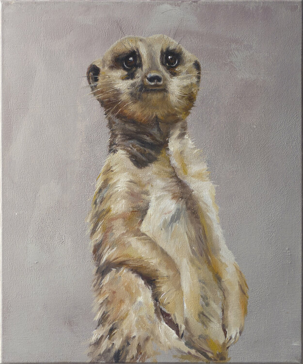 Meerkat Painting