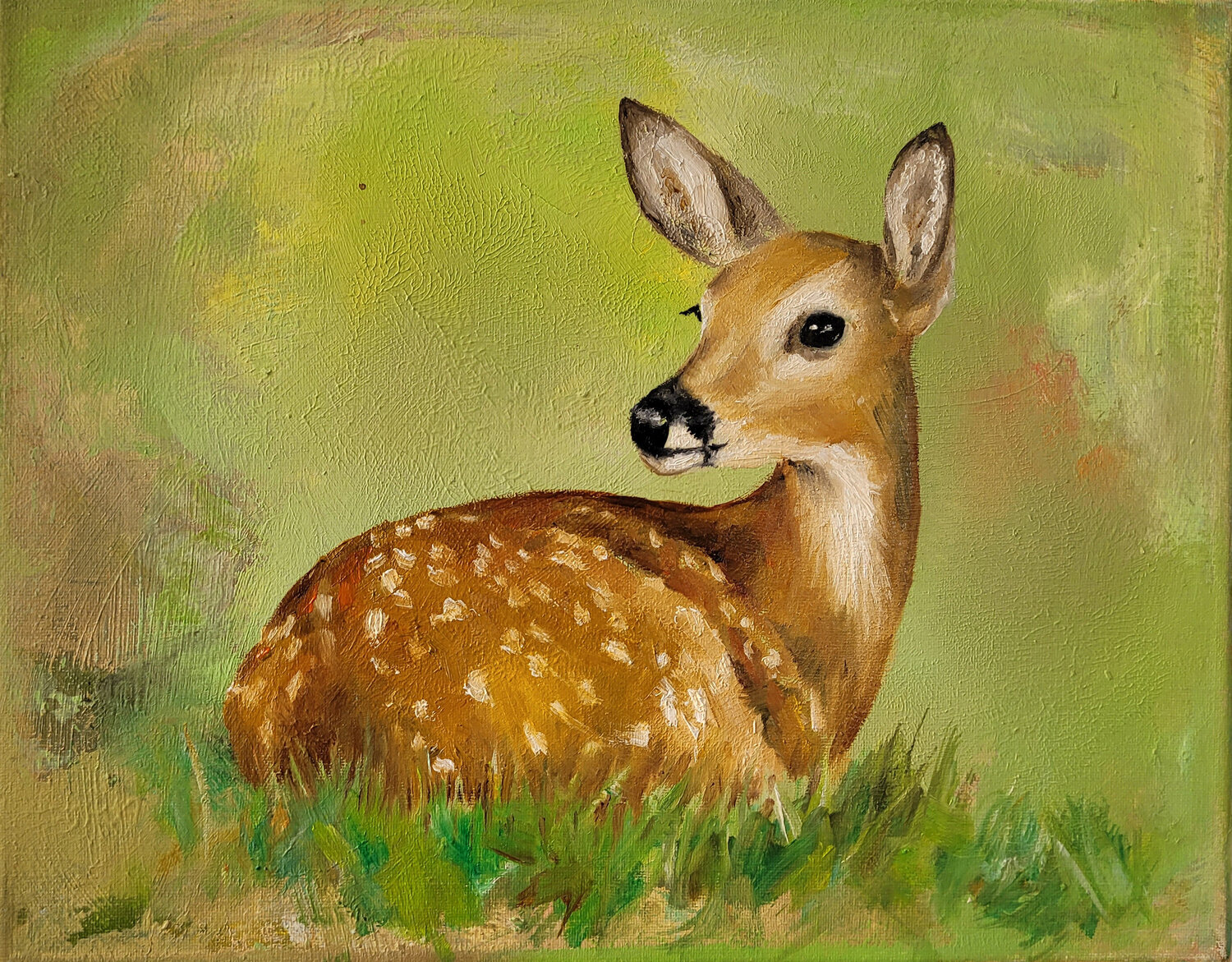 Bambi liegt im Gras by Lisa Braun (2024) : Painting Oil on Canvas ...