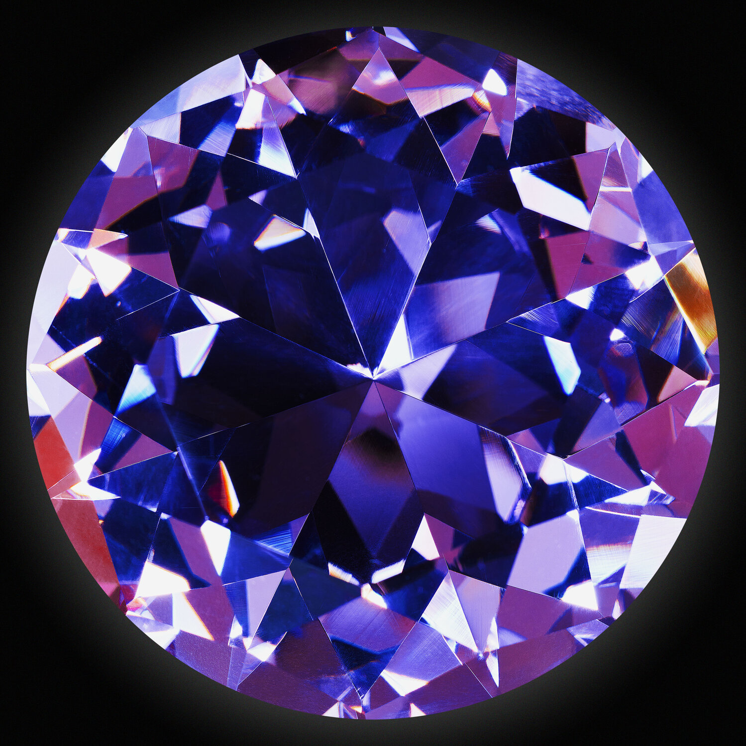 Pink Panther by Thomas Eigel (2022) : Photography Digital on Paper ...