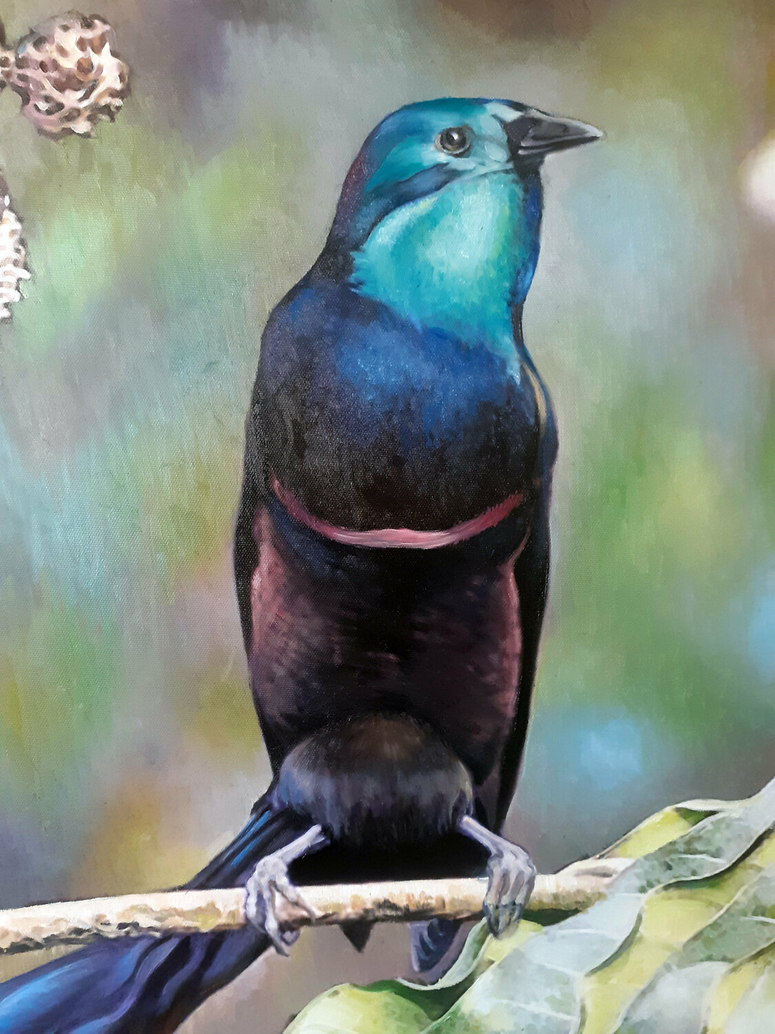 STEPHANIE'S ASTRAPIA BIRD-OF-PARADISE de Tatiana Rezvaya (2020 ...