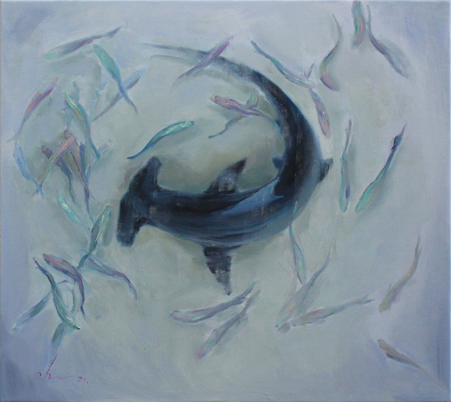 Hammerhead Shark Art