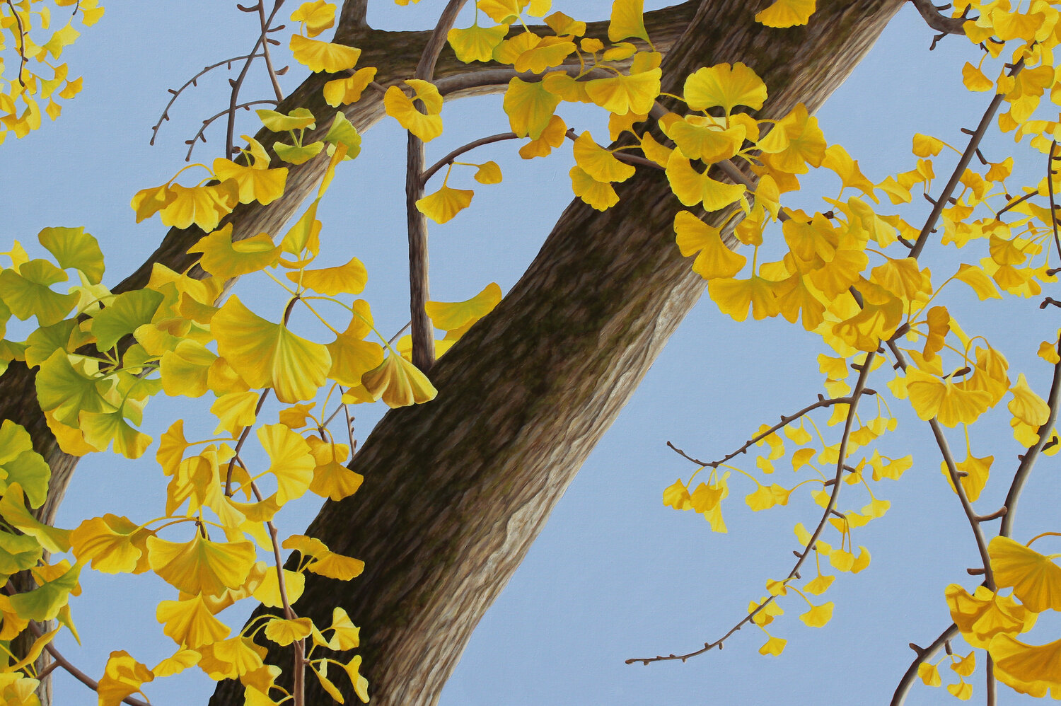 Gingko Tree by Frank DePietro (2023) : Painting Oil on Canvas - Singulart