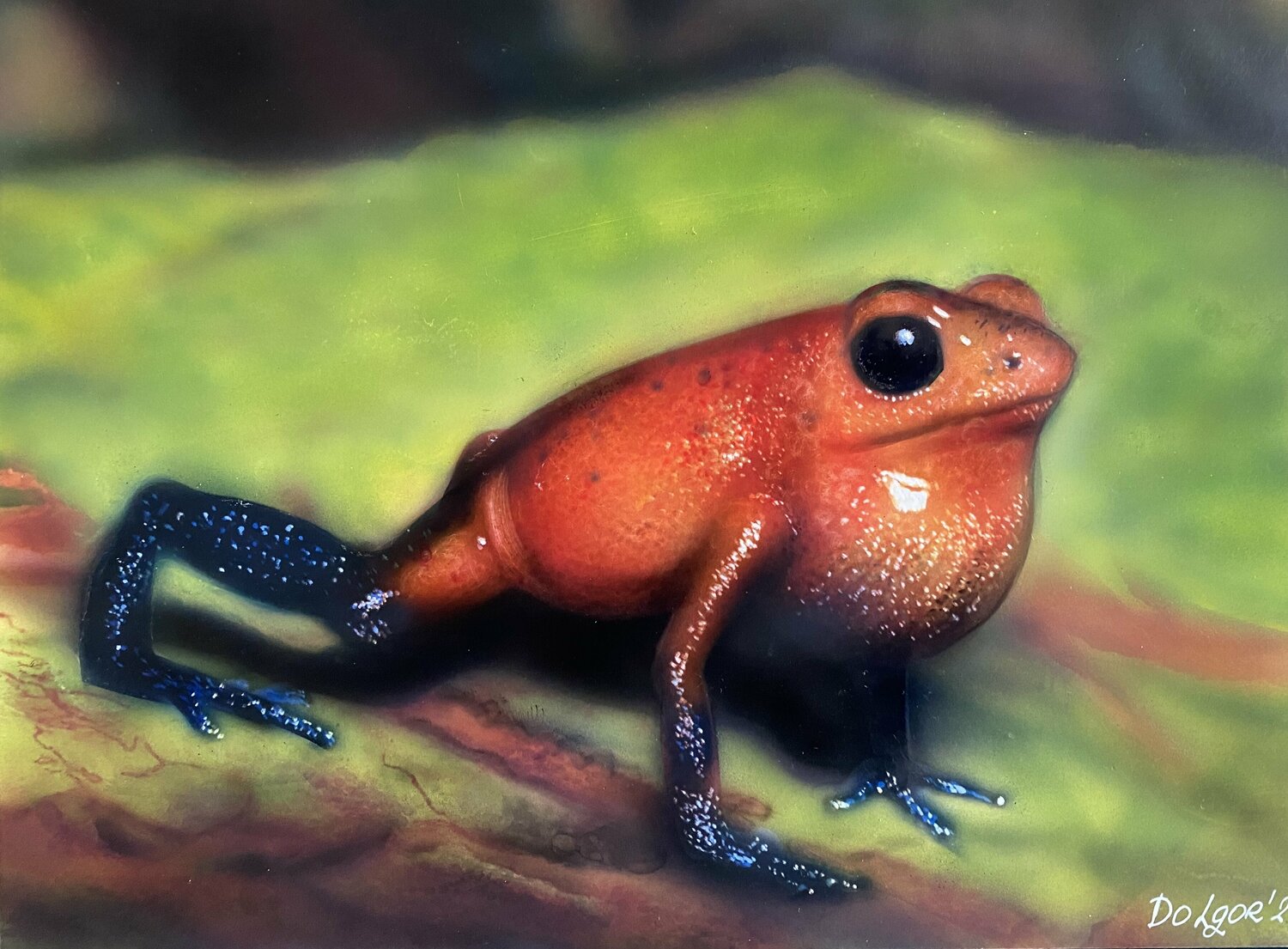 Strawberry Poison Dart Frog
